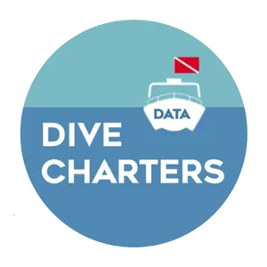 DataDivers.io – Take a Deep Dive Into Your Data